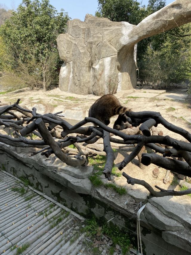 宁波宁波野生动物园游玩攻略简介,宁波宁波野生动物园门票/地址/图片/开放时间/照片/门票价格【携程攻略】