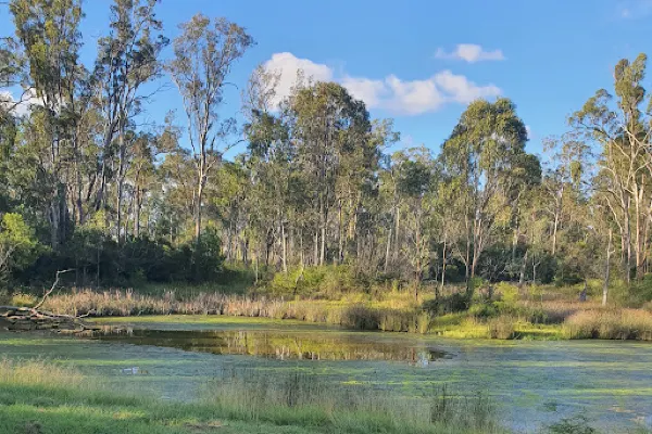 East Nanango Flora And Fauna Reserve|納南戈East Nanango Flora And Fauna ...