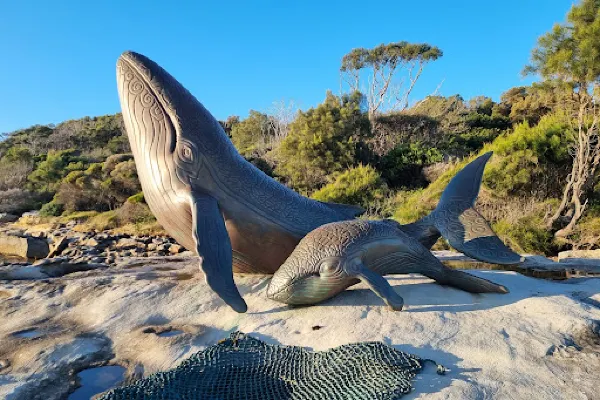 Adams Point Whale Lookout|吉夫斯頓Adams Point Whale Lookout玩樂門票預訂|Adams ...