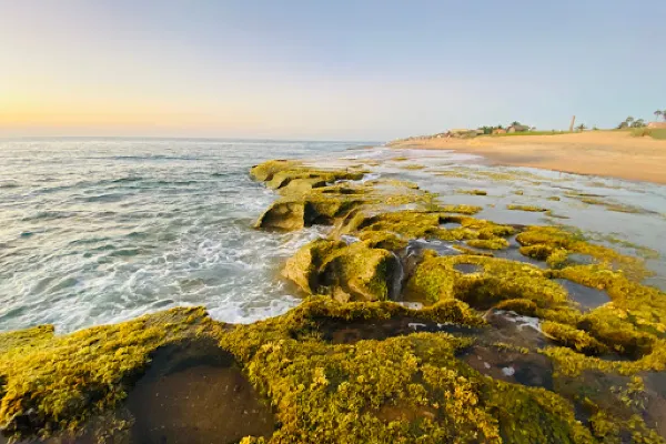 Chilaw Beach Park|奇洛Chilaw Beach Park玩樂門票預訂|Chilaw Beach Park旅遊攻略2026-永安旅遊