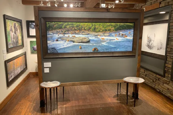 特柳萊德Tony Newlin Gallery at Telluride旅遊攻略簡介2025|特柳萊德Tony Newlin Gallery ...