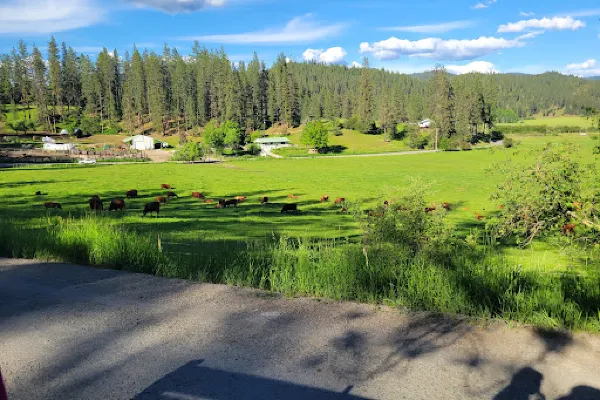 Rider Ranch|庫特奈縣Rider Ranch玩樂門票預訂|Rider Ranch旅遊攻略2025-永安旅遊