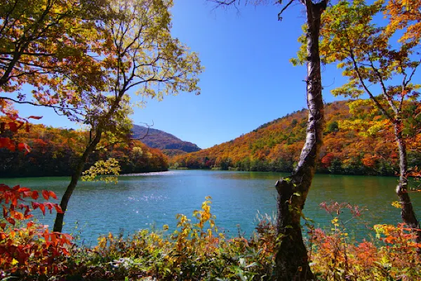 Biwa-ike Pond|下高井郡Biwa-ike Pond玩樂門票預訂|Biwa-ike Pond旅遊攻略2025-永安旅遊