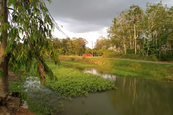 Pokok Asam View|玻璃市Pokok Asam View玩樂門票預訂|Pokok Asam View旅遊攻略2025-永安旅遊
