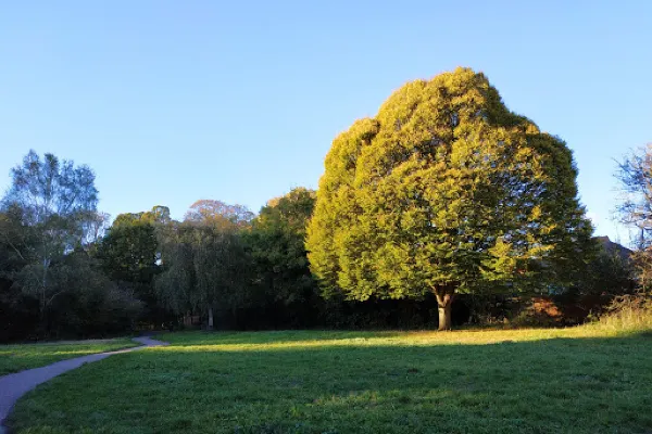 Crane Park|特威克納姆Crane Park玩樂門票預訂|Crane Park旅遊攻略2025-永安旅遊