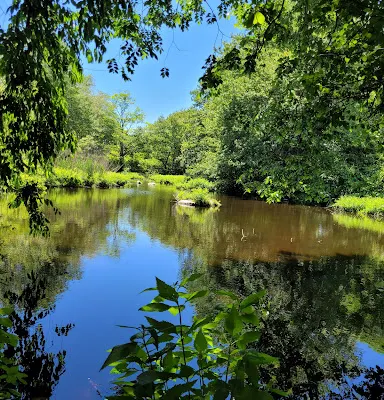 Haley Farm State Park|格羅頓Haley Farm State Park玩樂門票預訂|Haley Farm State ...
