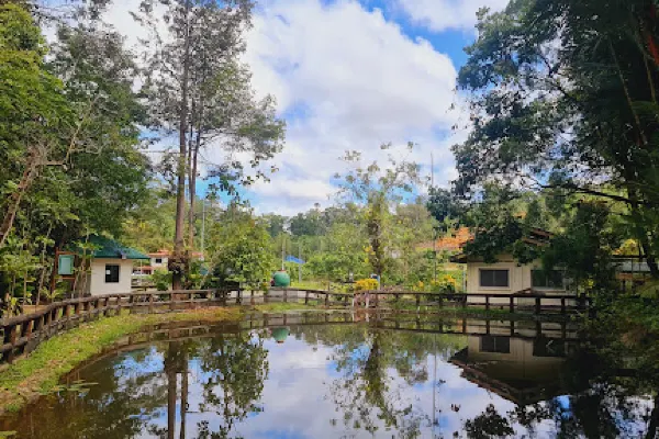 Forestry Museum Brunei, Sungai Liang|LiangForestry Museum Brunei ...