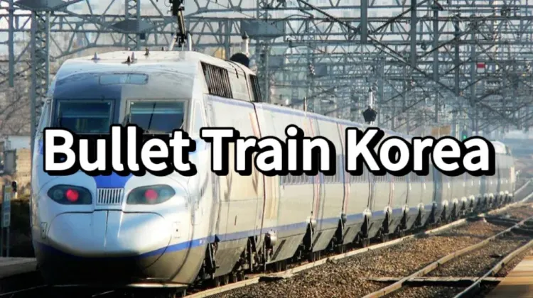 Bullet Train Korea: KTX Train Tips | Trip.com