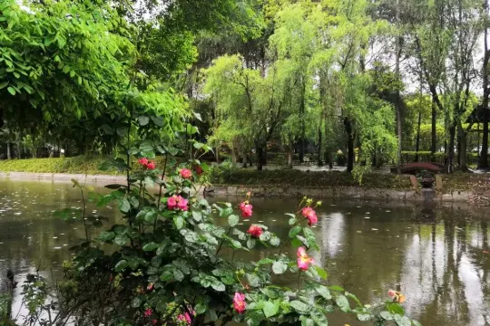 Chengdu Itinerary 10 Days: How to Spend 10 Days in Chengdu | Trip.com