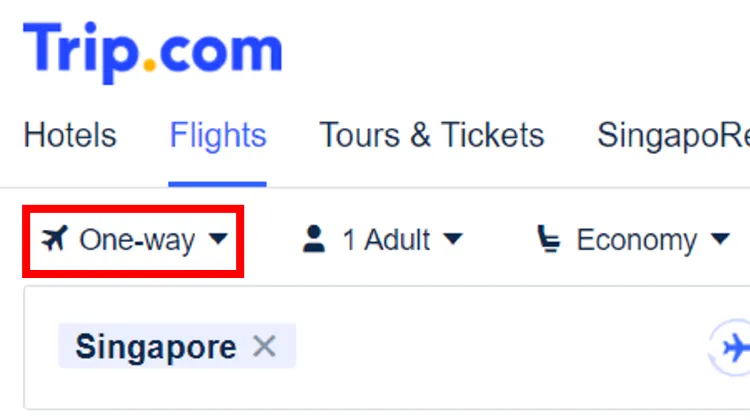12 Expert Tips on How to Get Cheap Flight Tickets | Trip.com