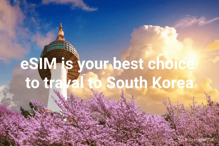South Korea eSIM Guide: From Only S$0.86 | Trip.com