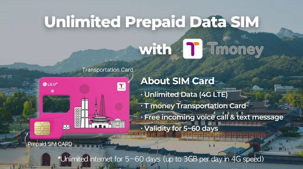 South Korea SIM Card: Unlimited Data + Tmoney Transportation Card | Trip.com