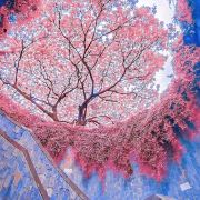 福海海上魔鬼城景区游玩攻略-海上魔鬼城景区门票多少钱/价格表-团购票价预定优惠-景点地址在哪里/图片介绍/参观预约/旅游游览顺序攻略及注意事项 ...