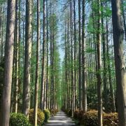 上海罗泾水源涵养林游玩攻略-罗泾水源涵养林门票多少钱/价格表-团购票价预定优惠-景点地址在哪里/图片介绍/参观预约/旅游游览顺序攻略及注意事项 ...