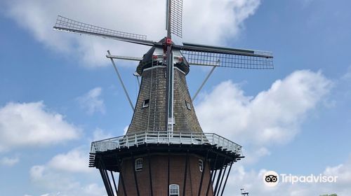 美国芝加哥+Windmill Island Gardens一日游【沉醉在郁金香花海中，带您感受春天的风车岛】线路推荐【携程玩乐】