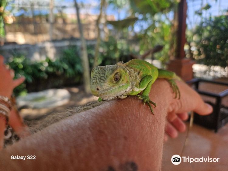 巴厘岛Hidden Canyon Mini Zoo游玩攻略-Hidden Canyon Mini Zoo门票多少钱/价格表-团购票价预定优惠 ...