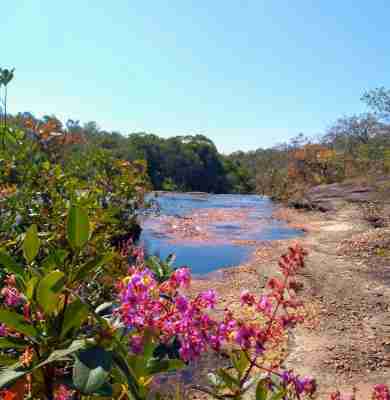 Best 5 Stars Hotels Deals in Mato Grosso, Brazil | Trip.com
