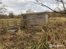 【携程攻略】塔夫汉姆Taverham Mill Nature Reserve and Fishery图片,塔夫汉姆Taverham Mill ...