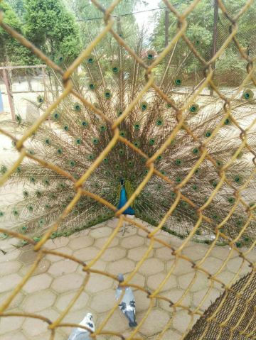 秦皇岛北戴河集发梦想王国游玩攻略简介,秦皇岛北戴河集发梦想王国门票/地址/图片/开放时间/照片/门票价格【携程攻略】