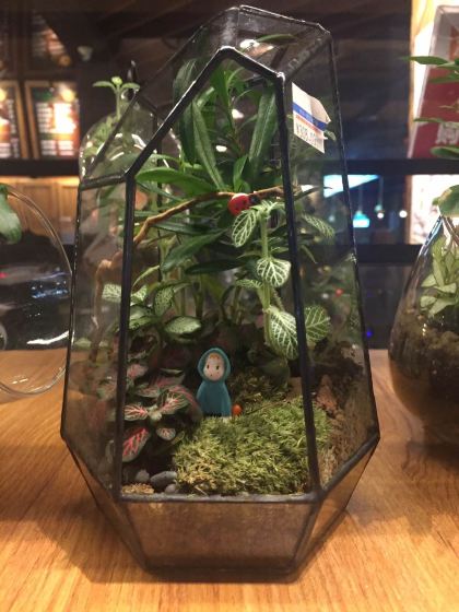 太原Wocas咖啡西餐生活馆(国贸第六馆店)好吃吗,Wocas咖啡西餐生活馆(国贸第六馆店)味道怎么样,环境/服务好不好_点评_评价【携程攻略】