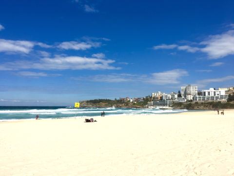 Bondi Beach邦迪海滩游玩攻略简介,Bondi Beach邦迪海滩门票/地址/图片/开放时间/照片/门票价格【携程攻略】