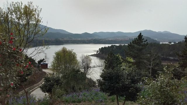 麻城五脑山森林公园游玩攻略简介,麻城五脑山森林公园门票/地址/图片/开放时间/照片/门票价格【携程攻略】