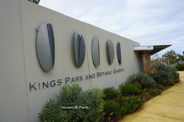 Kings Park国王公园游玩攻略简介,Kings Park国王公园门票/地址/图片/开放时间/照片/门票价格【携程攻略】