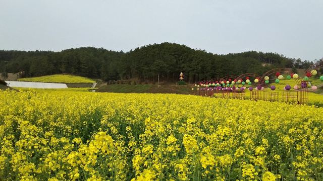 麻城五脑山森林公园游玩攻略简介,麻城五脑山森林公园门票/地址/图片/开放时间/照片/门票价格【携程攻略】