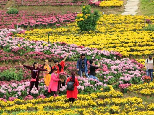 麻城五脑山森林公园游玩攻略简介,麻城五脑山森林公园门票/地址/图片/开放时间/照片/门票价格【携程攻略】