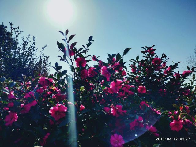 麻城五脑山森林公园游玩攻略简介,麻城五脑山森林公园门票/地址/图片/开放时间/照片/门票价格【携程攻略】