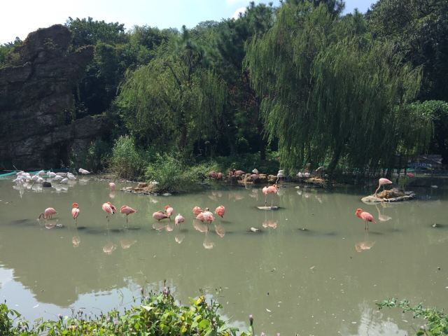 宁波宁波野生动物园游玩攻略简介,宁波宁波野生动物园门票/地址/图片/开放时间/照片/门票价格【携程攻略】