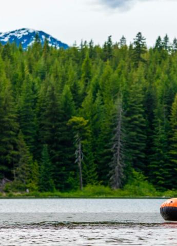 2019 Chicago Skyline: 10 Iconic Chicago Skyline Buildings and How to ...