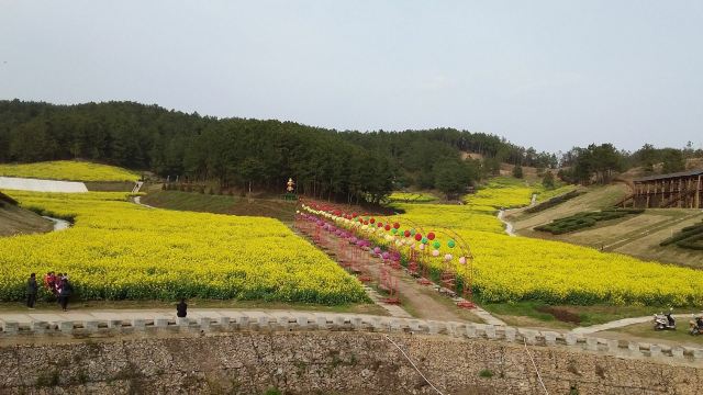 麻城五脑山森林公园游玩攻略简介,麻城五脑山森林公园门票/地址/图片/开放时间/照片/门票价格【携程攻略】