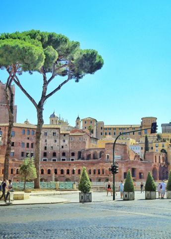 A Locals’ Guide to Rome travel notes and guides – Trip.com travel guides