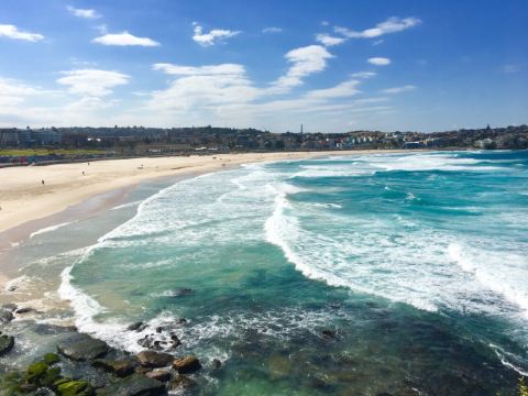 Bondi Beach邦迪海滩游玩攻略简介,Bondi Beach邦迪海滩门票/地址/图片/开放时间/照片/门票价格【携程攻略】