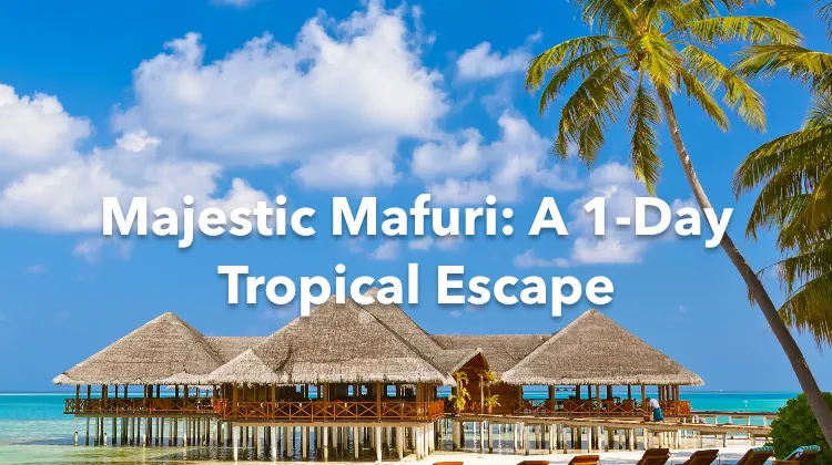 Majestic Mafuri: A 1-Day Tropical Escape | Trip.com