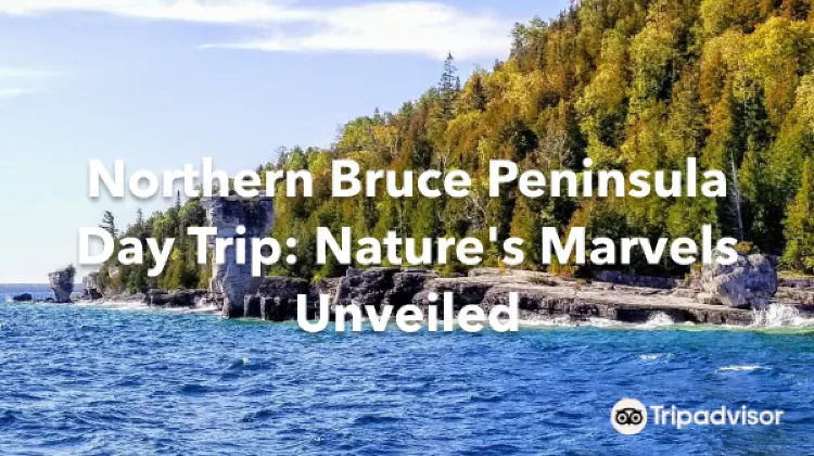 Northern Bruce Peninsula Day Trip: Nature's Marvels Unveiled | Trip.com