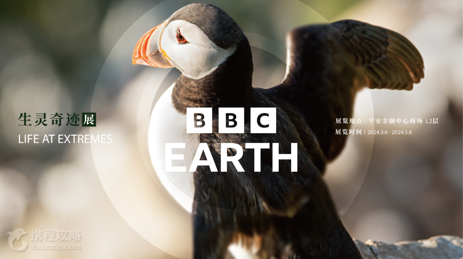 LIFE AT EXTREMES生灵奇迹-BBC Earth主题影像全球首展 - 景点