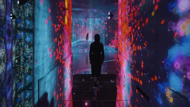 teamLab Borderless: MORI Building DIGITAL ART MUSEUM - จองตั๋ว, เวลา ...