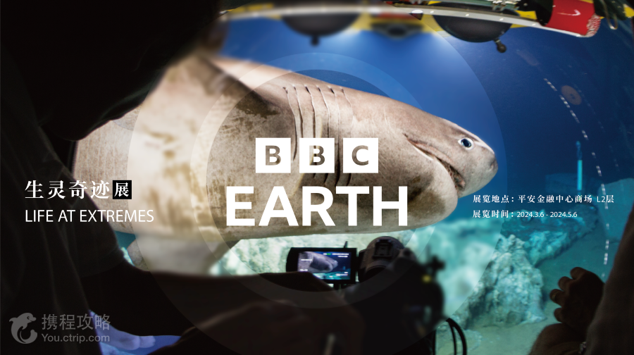 LIFE AT EXTREMES生灵奇迹-BBC Earth主题影像全球首展 - 景点