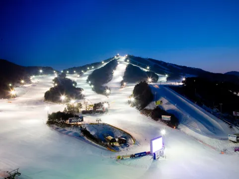 Wellihilli Park Resort - 강원도