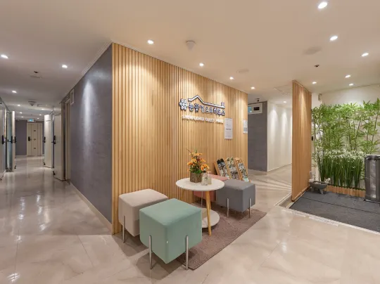 Snowflower Guesthouse - Seoul