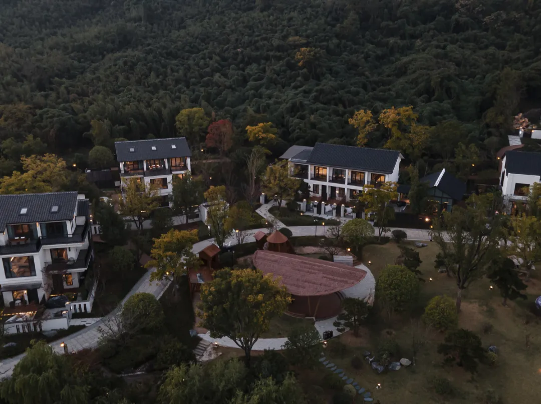 Hangzhou Yulu Ginlan Jia Nanshan Suji - Hangzhou