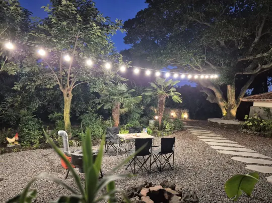 Youngchunrim - Jeju-do