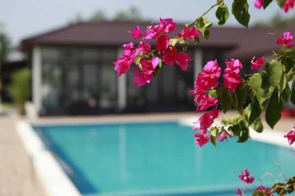 KK Garden 小院(KK Garden)预订价格,联系电话位置地址【携程酒店】