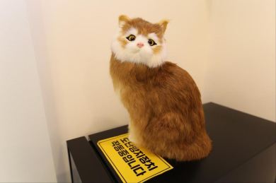 Hotel Rodem in Incheon | 2024 Updated prices, deals - Klook United States