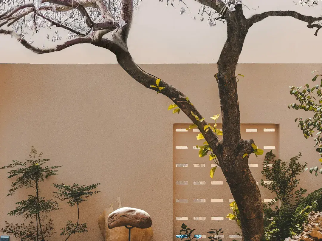 Sixi Fangyuan Structure Aesthetics Museum - Lijiang