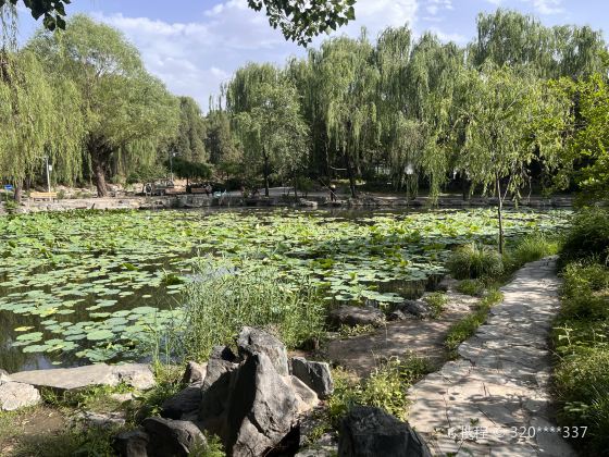 北京清华大学-甲所餐厅攻略,清华大学-甲所餐厅特色菜推荐/菜单/人均消费/电话/地址/菜系/点评/营业时间【携程美食】