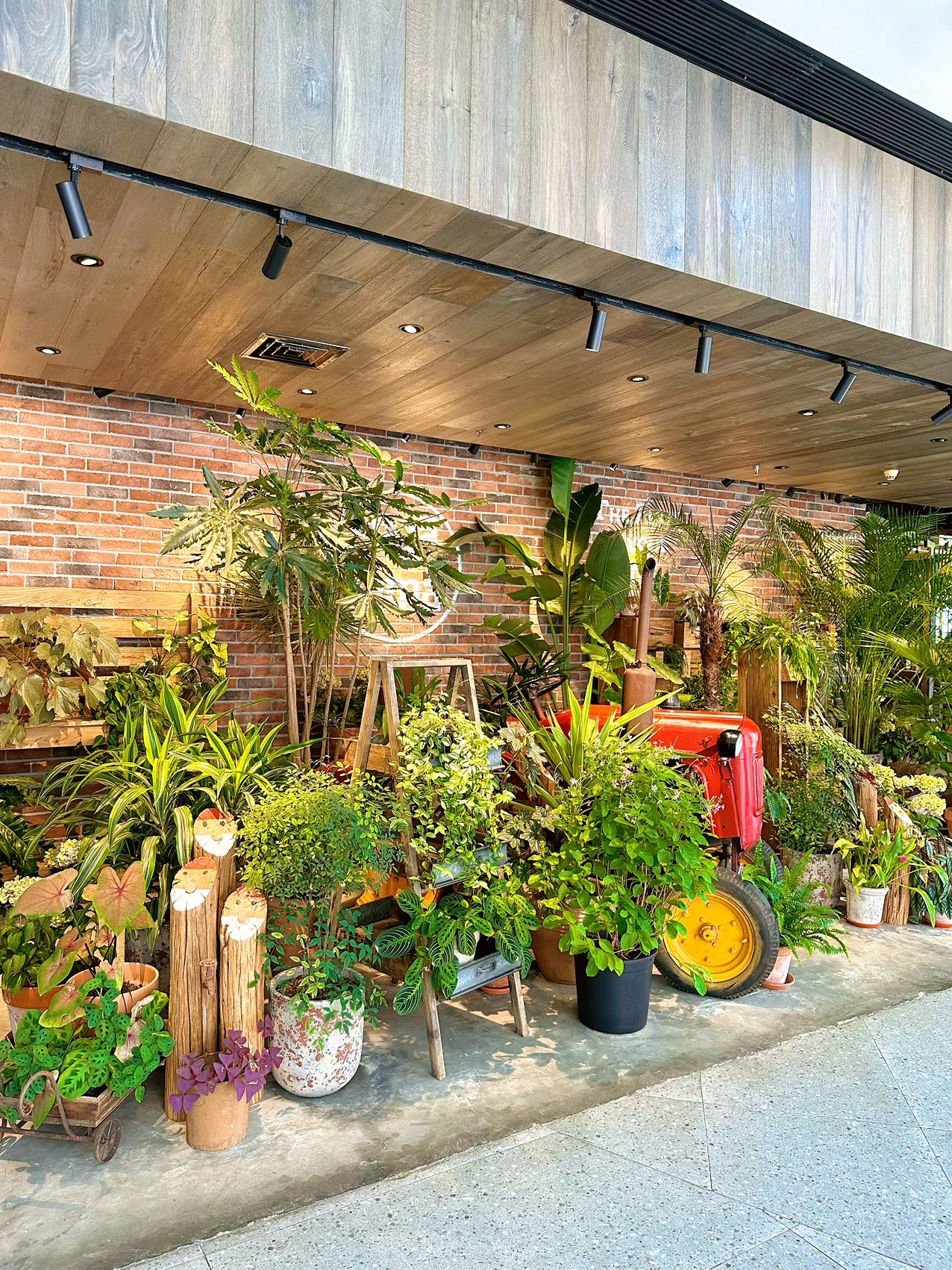 广州SUPA FAMA农场西餐(体育西路店)攻略,SUPA FAMA农场西餐(体育西路店)特色菜推荐/菜单/人均消费/电话/地址/菜系/点评 ...