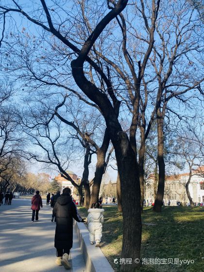 北京清华大学-甲所餐厅攻略,清华大学-甲所餐厅特色菜推荐/菜单/人均消费/电话/地址/菜系/点评/营业时间【携程美食】